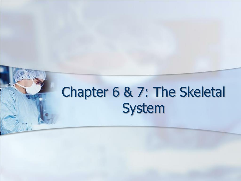 PPT - Chapter 6 & 7: The Skeletal System PowerPoint Presentation - ID ...