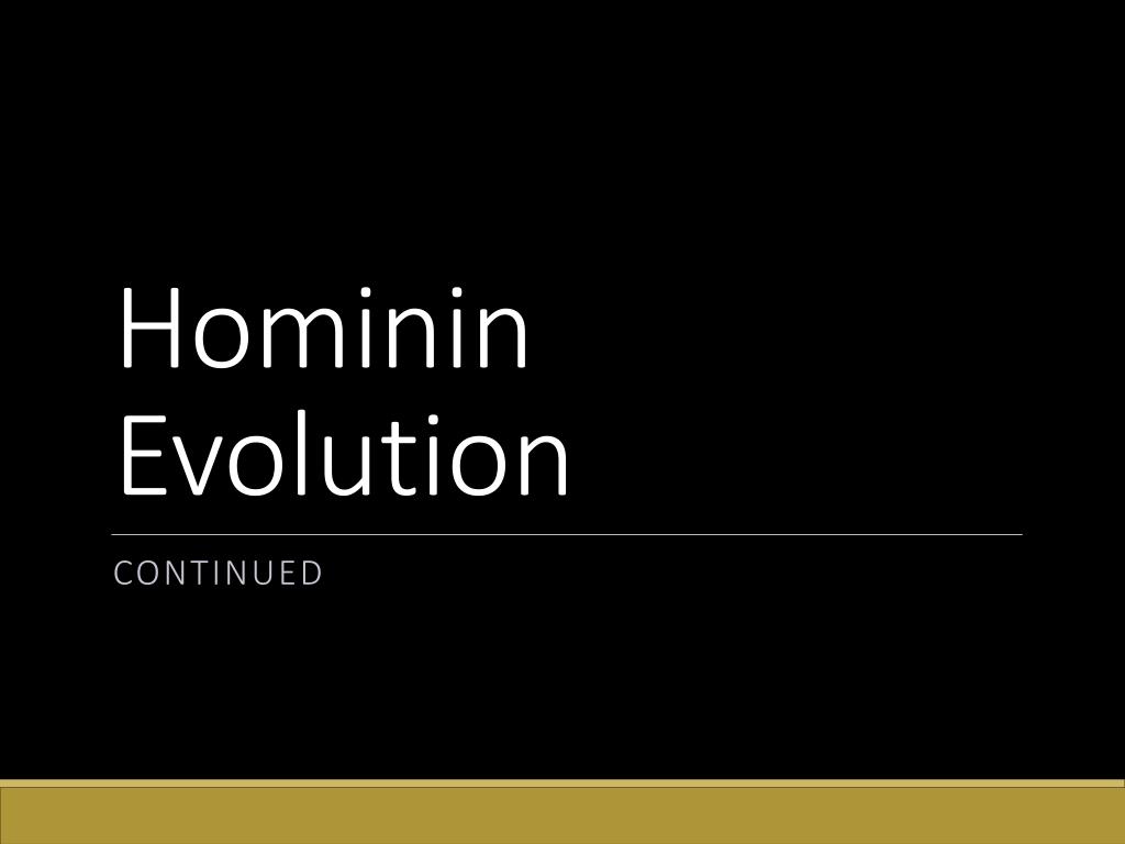 PPT - Hominin Evolution PowerPoint Presentation, free download - ID:2110092