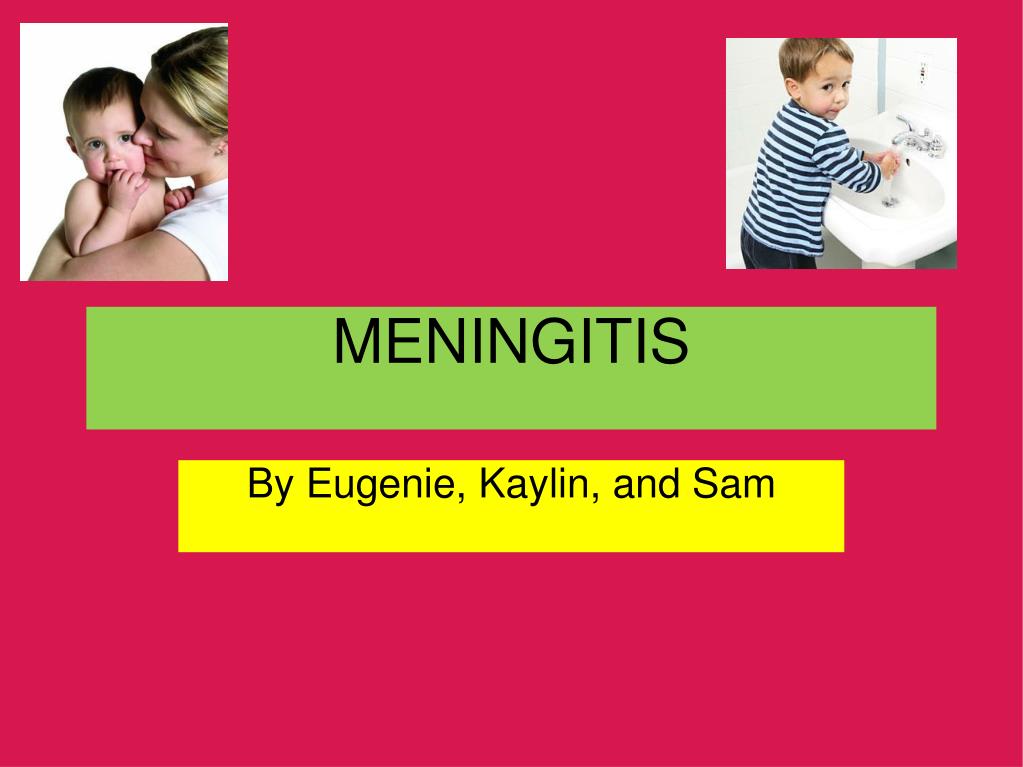 PPT - MENINGITIS PowerPoint Presentation, free download - ID:2110152