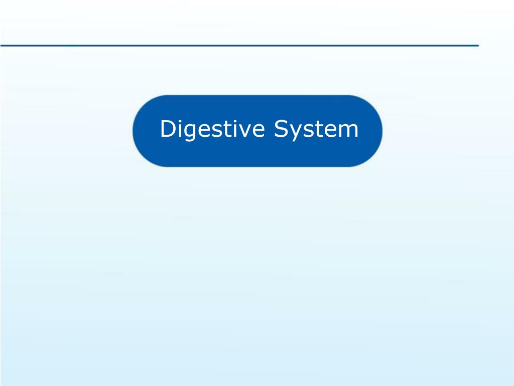 PPT - Digestive System PowerPoint Presentation, free download - ID:2110341