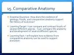 PPT - Comparative Anatomy Integument PowerPoint Presentation, free ...