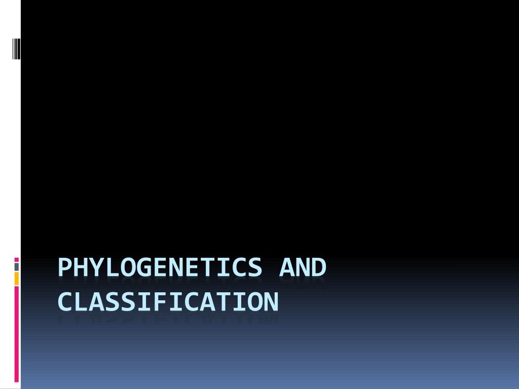 PPT - Phylogenetics and classification PowerPoint Presentation, free ...