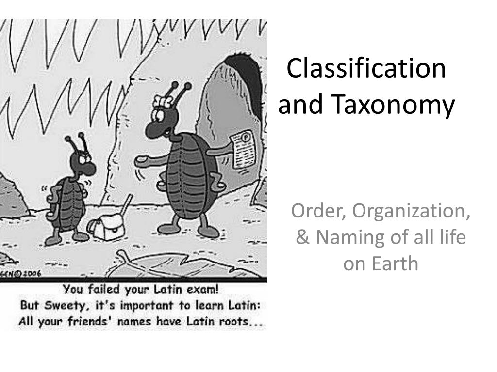 PPT - Classification and Taxonomy PowerPoint Presentation, free ...
