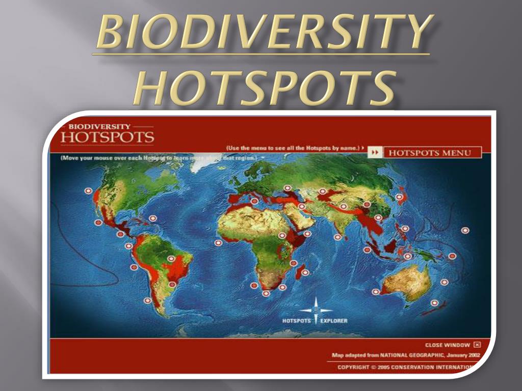 PPT - Biodiversity hotspots PowerPoint Presentation, free download - ID ...