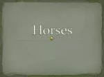 PPT - All About Horses PowerPoint Presentation, free download - ID:6215230