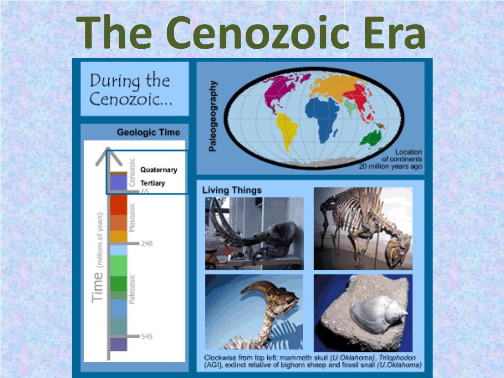 PPT - The Cenozoic Era PowerPoint Presentation, free download - ID:2113353