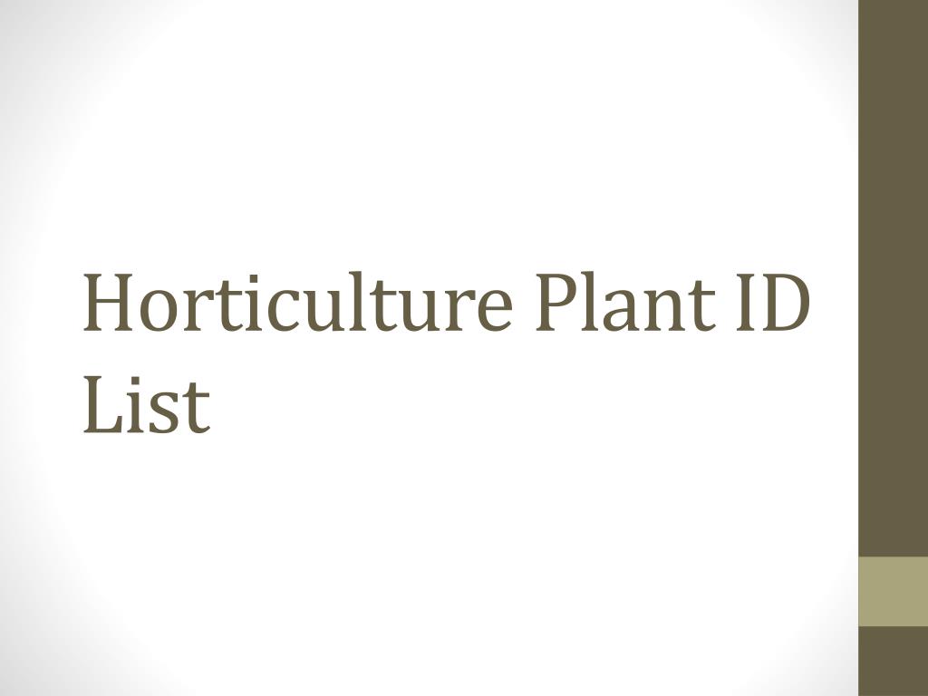 PPT - Horticulture Plant ID List PowerPoint Presentation, free download ...