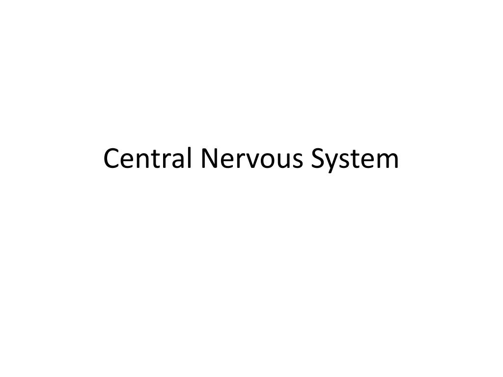 PPT - Central Nervous System PowerPoint Presentation, free download ...