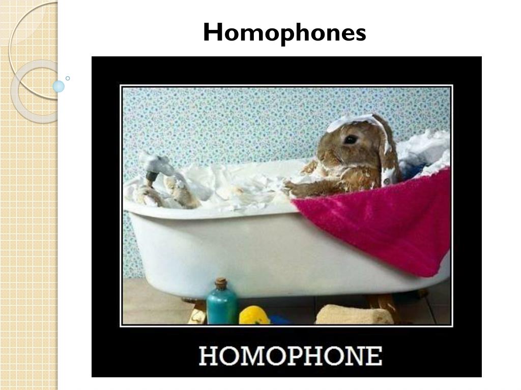 PPT - Homophones PowerPoint Presentation, free download - ID:2115940
