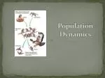 PPT - HUMAN POPULATION DYNAMICS PowerPoint Presentation, free download ...