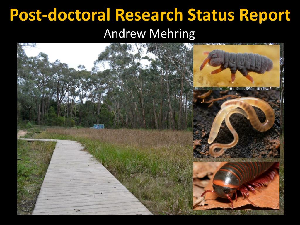 PPT - Post-doctoral Research Status Report PowerPoint Presentation ...