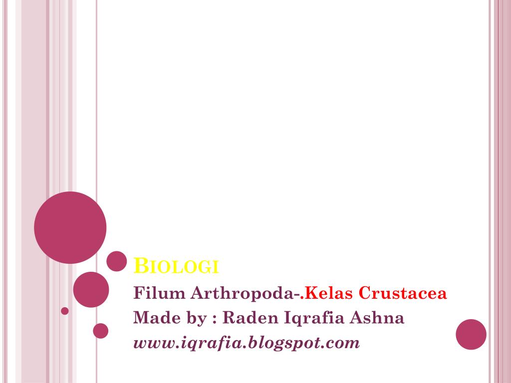 PPT - Biologi PowerPoint Presentation, free download - ID:2117889