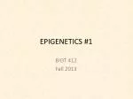 PPT - Introduction to Epigenetics PowerPoint Presentation, free ...