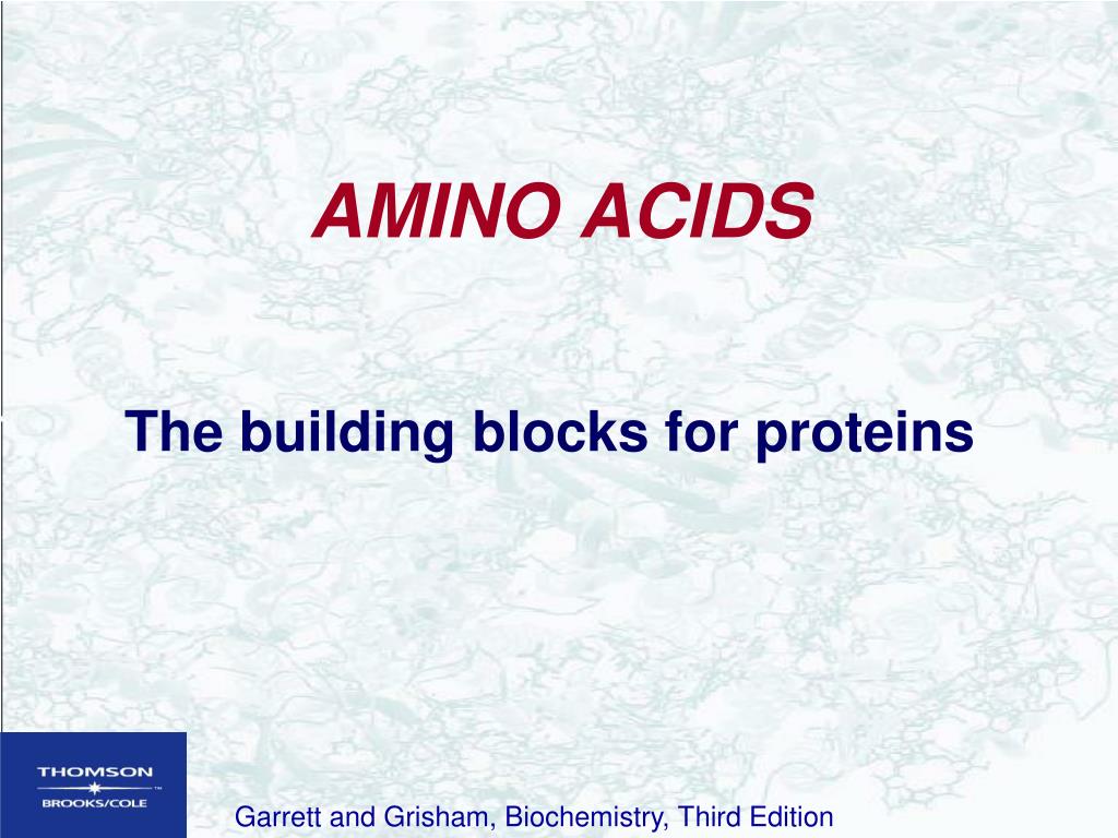 PPT - AMINO ACIDS PowerPoint Presentation, free download - ID:2118422