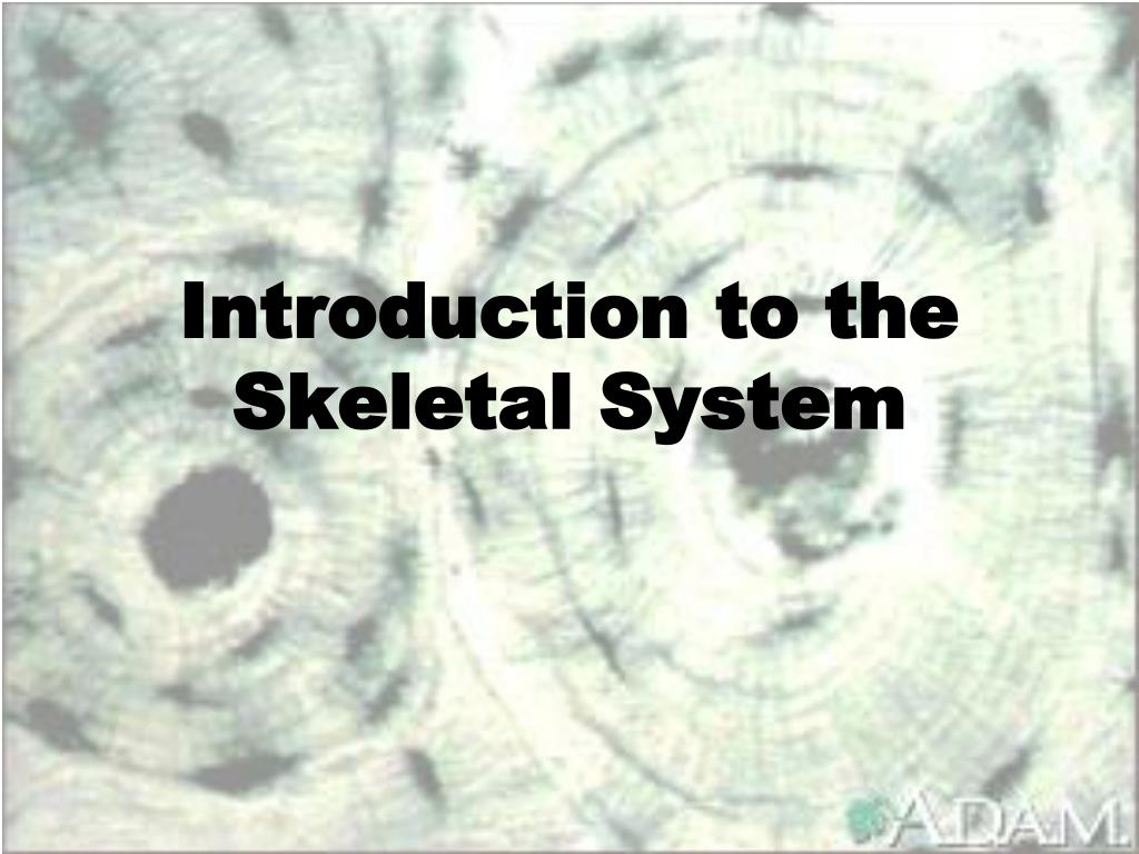 PPT - Exploring the Skeletal System: Functions, Structure, and ...