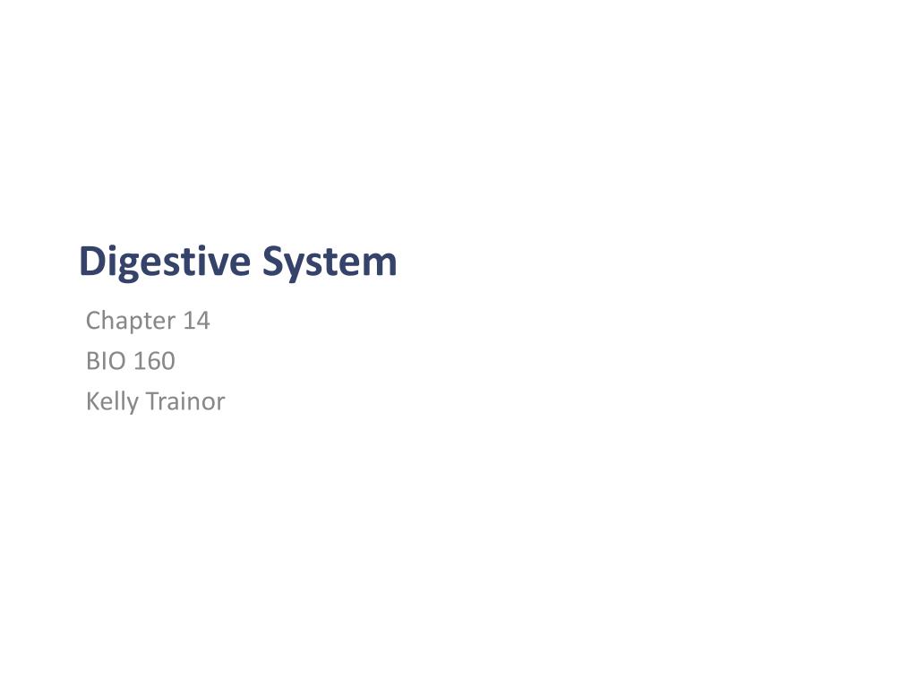 PPT - Digestive System PowerPoint Presentation, free download - ID:2120091