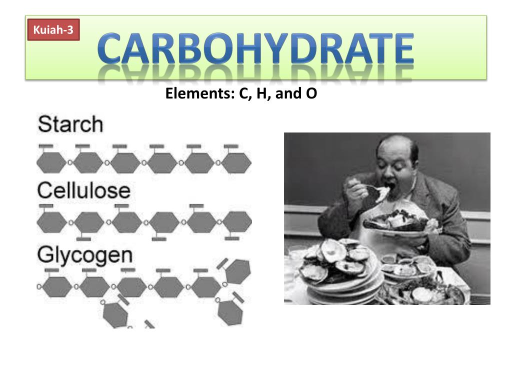 PPT - cARBOHYDRATE PowerPoint Presentation, free download - ID:2120096