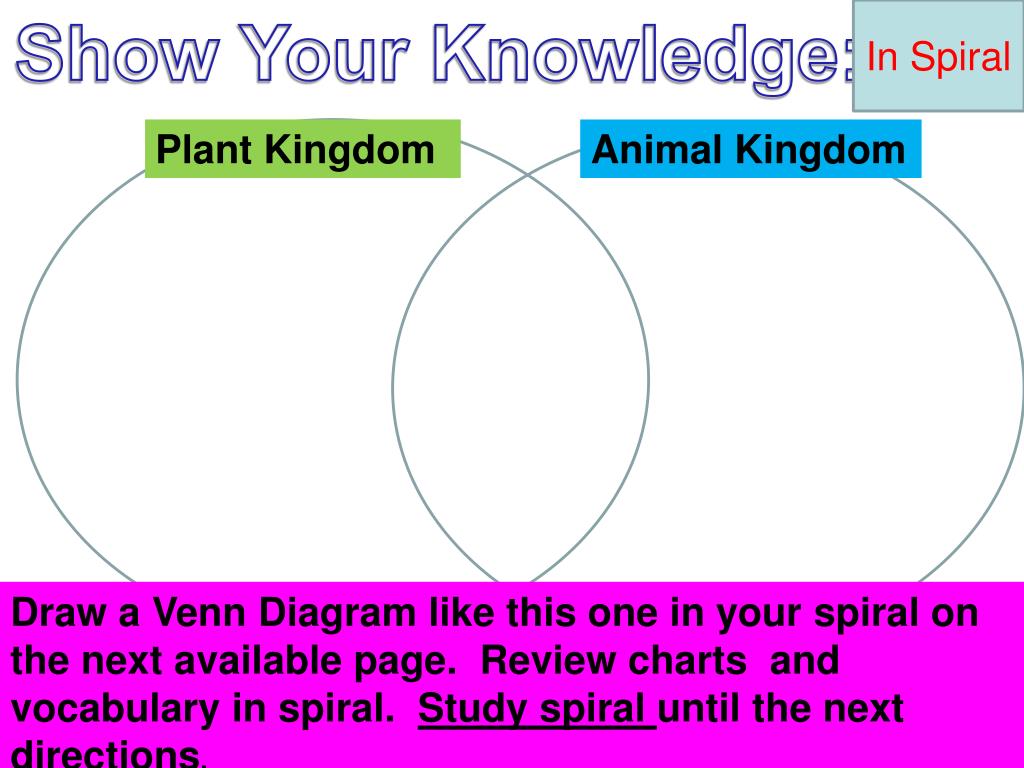 PPT - Plant Kingdom PowerPoint Presentation, free download - ID:2120551