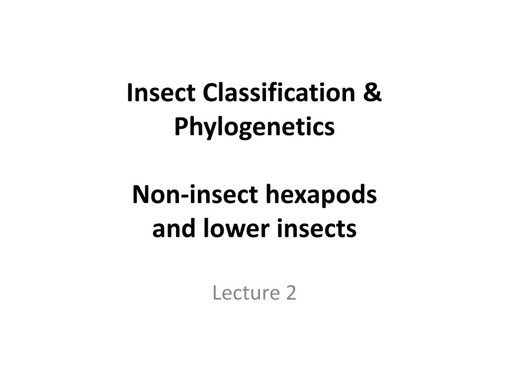 PPT - Insect Classification & Phylogenetics Non-insect hexapods and ...