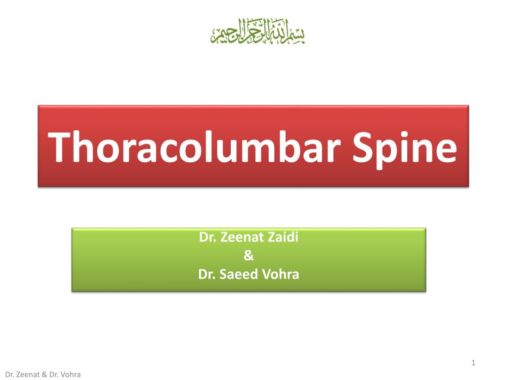 PPT - Thoracolumbar Spine PowerPoint Presentation, free download - ID ...