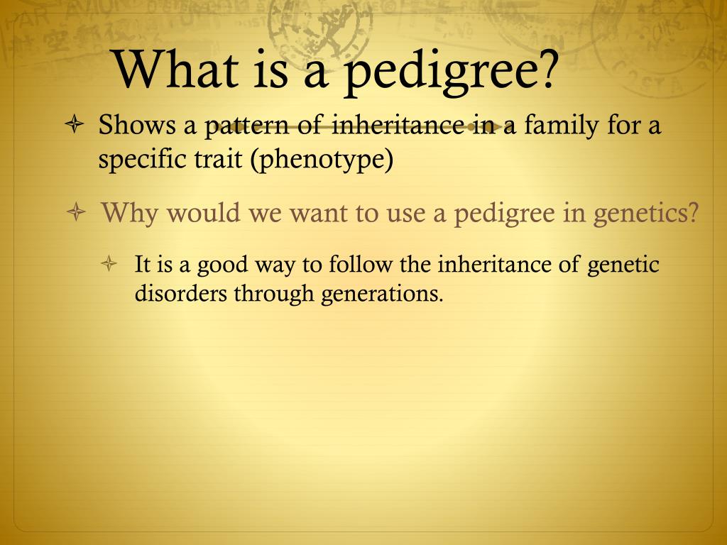 PPT - What is a pedigree? PowerPoint Presentation, free download - ID ...