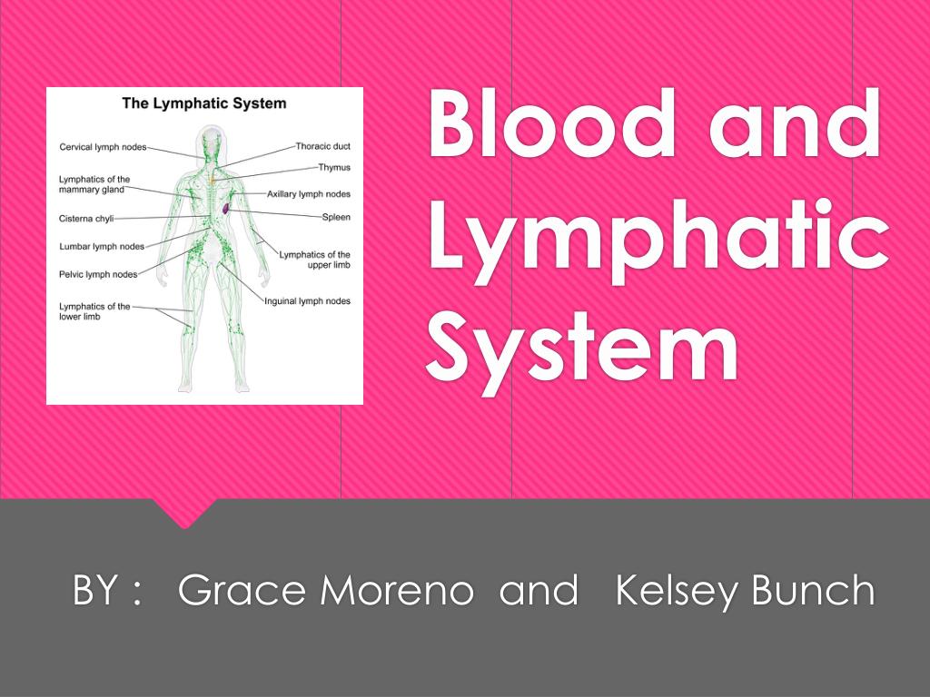 PPT - Blood and Lymphatic System PowerPoint Presentation, free download ...