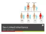 PPT - X-LINKED INHERITANCE PowerPoint Presentation, free download - ID ...