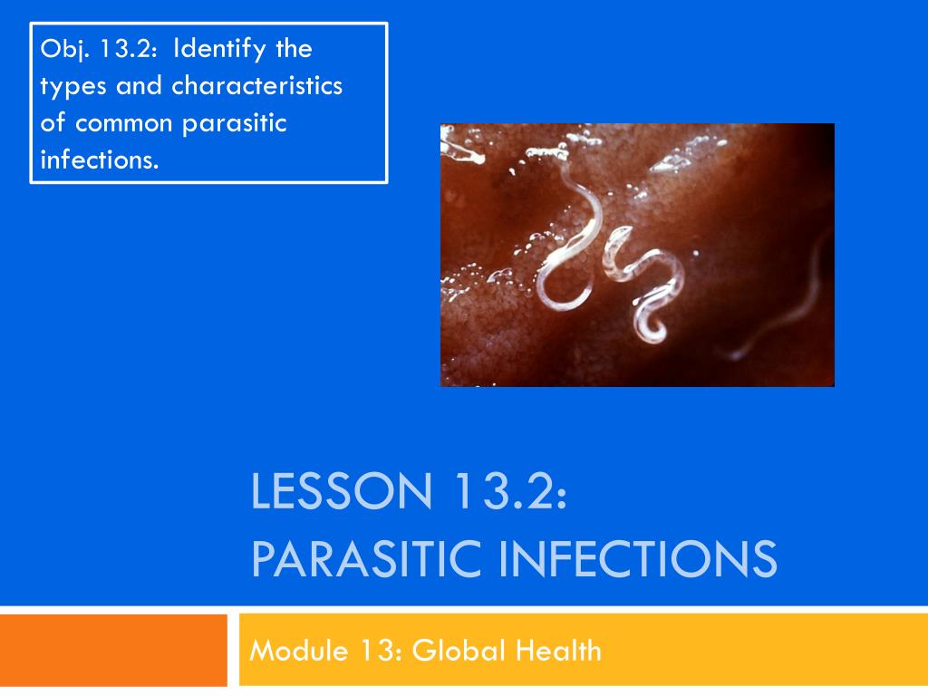 PPT - Lesson 13.2: Parasitic Infections PowerPoint Presentation, free ...