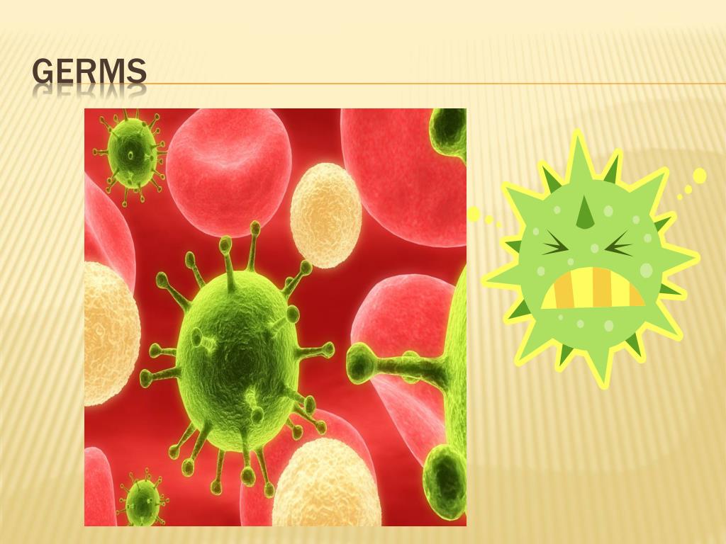 PPT - GERMS PowerPoint Presentation, free download - ID:2123081