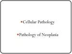 PPT - Pathology Lecture - Neoplasia PowerPoint Presentation, free ...