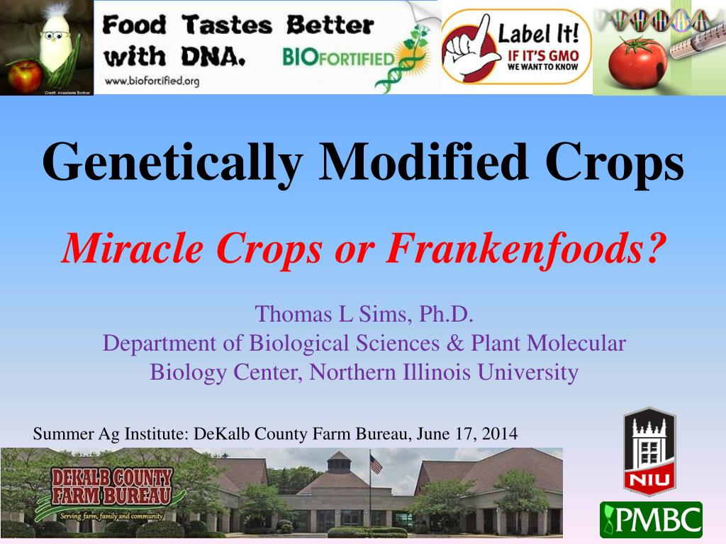 PPT - Genetically Modified Crops PowerPoint Presentation, free download ...