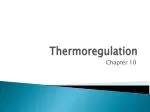 PPT - Thermoregulation in the Newborn PowerPoint Presentation, free ...