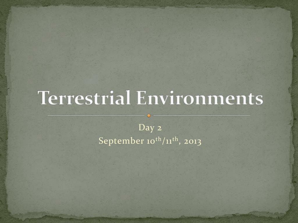 PPT - Terrestrial Environments PowerPoint Presentation, free download ...