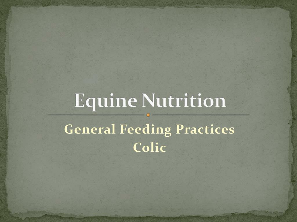PPT - Equine Nutrition PowerPoint Presentation, free download - ID:2125479