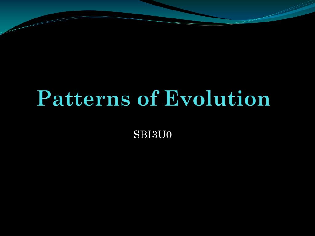 PPT - Patterns of Evolution PowerPoint Presentation, free download - ID ...