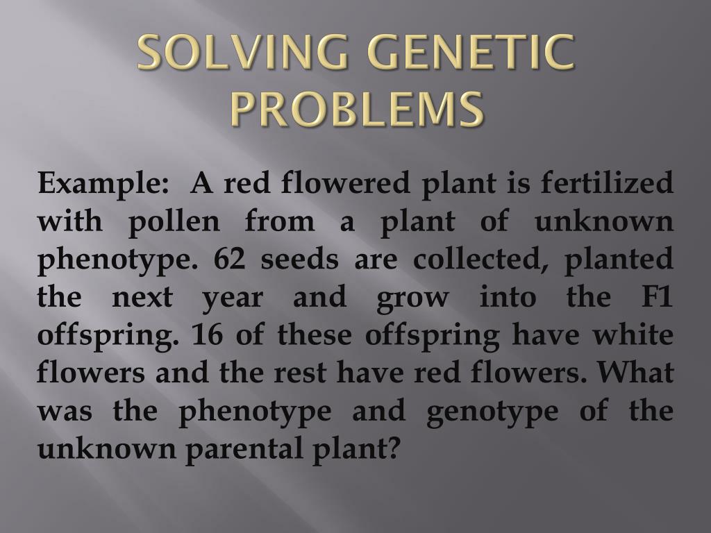 PPT - Solving Genetic Problems PowerPoint Presentation, free download ...