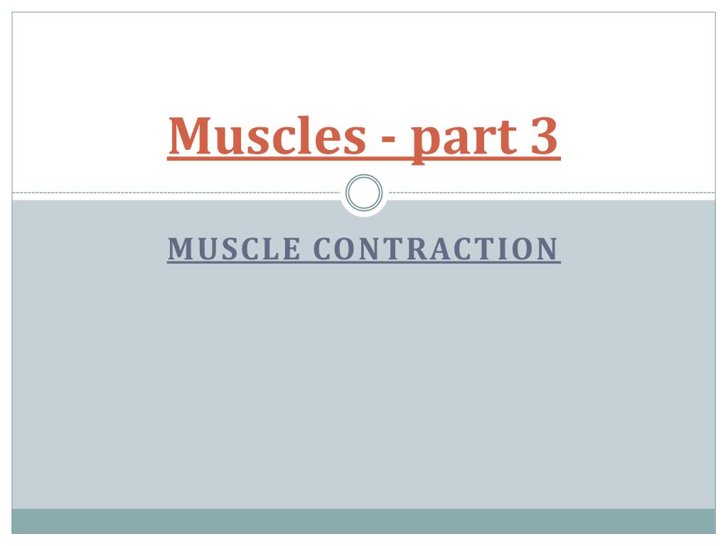 PPT - Understanding Muscle Contraction: Key Characteristics and ...