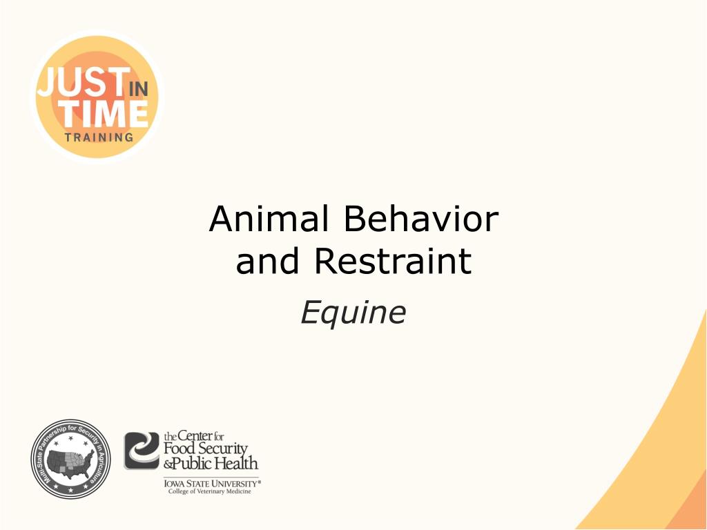 PPT - Animal Behavior and Restraint PowerPoint Presentation, free ...