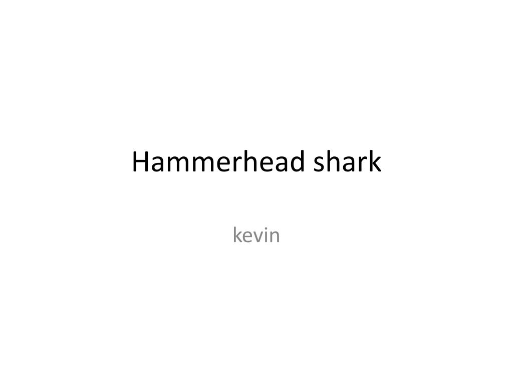 PPT - Hammerhead shark PowerPoint Presentation, free download - ID:2128765