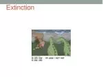 PPT - The partial reinforcement extinction effect (PREE) PowerPoint ...