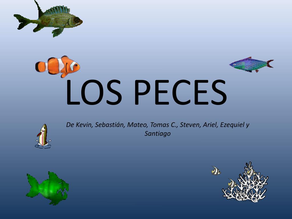 PPT - LOS PECES PowerPoint Presentation, free download - ID:2131681