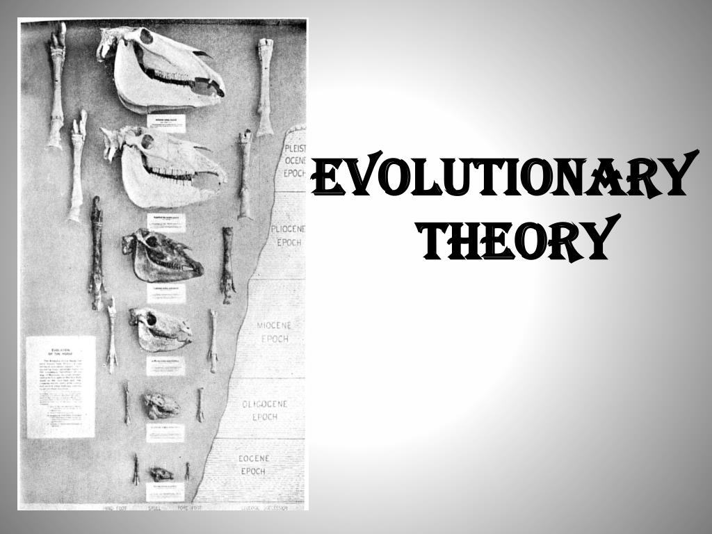 PPT - EVOLUTIONARY THEORY PowerPoint Presentation, free download - ID ...