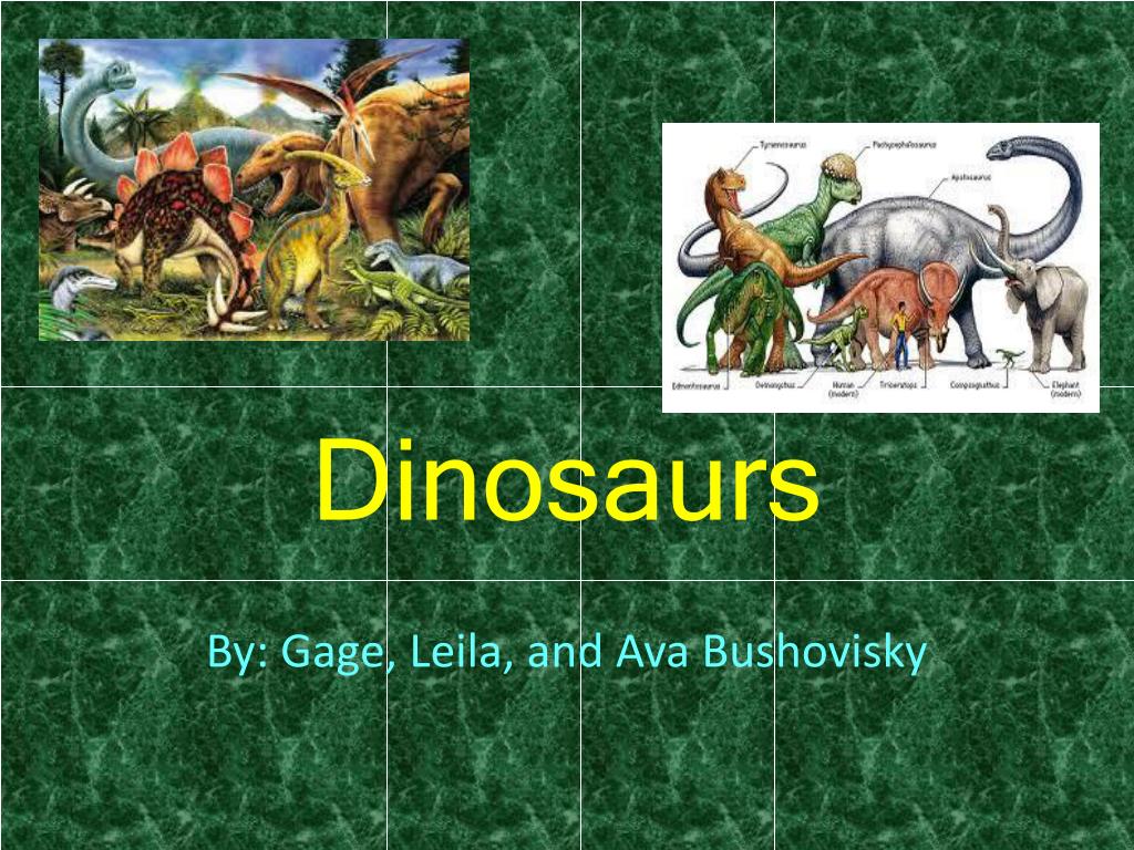 PPT - Dinosaurs PowerPoint Presentation, free download - ID:2133012