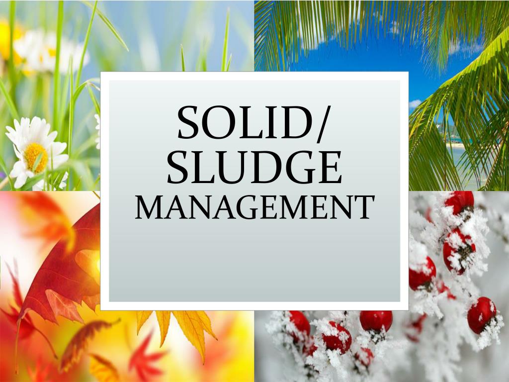 PPT - SOLID/ SLUDGE MANAGEMENT PowerPoint Presentation, free download ...