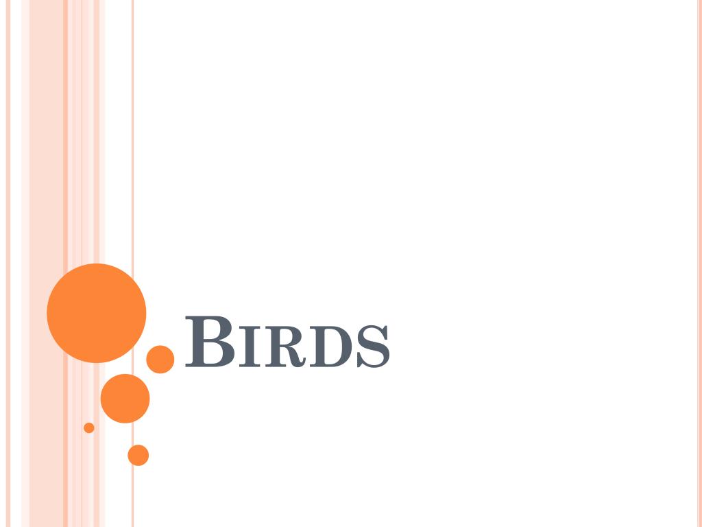 PPT - Birds PowerPoint Presentation, free download - ID:2133490