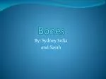 PPT - Bones PowerPoint Presentation, free download - ID:2881046