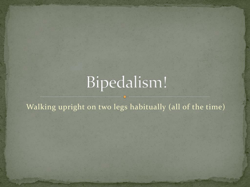 PPT - Bipedalism! PowerPoint Presentation, free download - ID:2133678