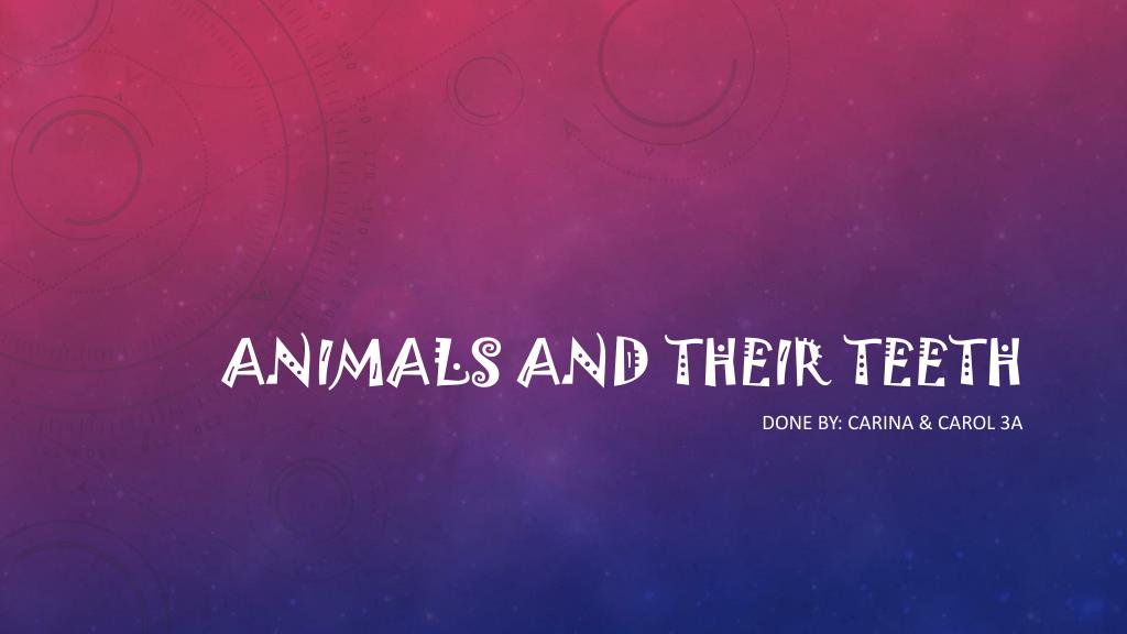 PPT - Animals and their teeth PowerPoint Presentation, free download ...