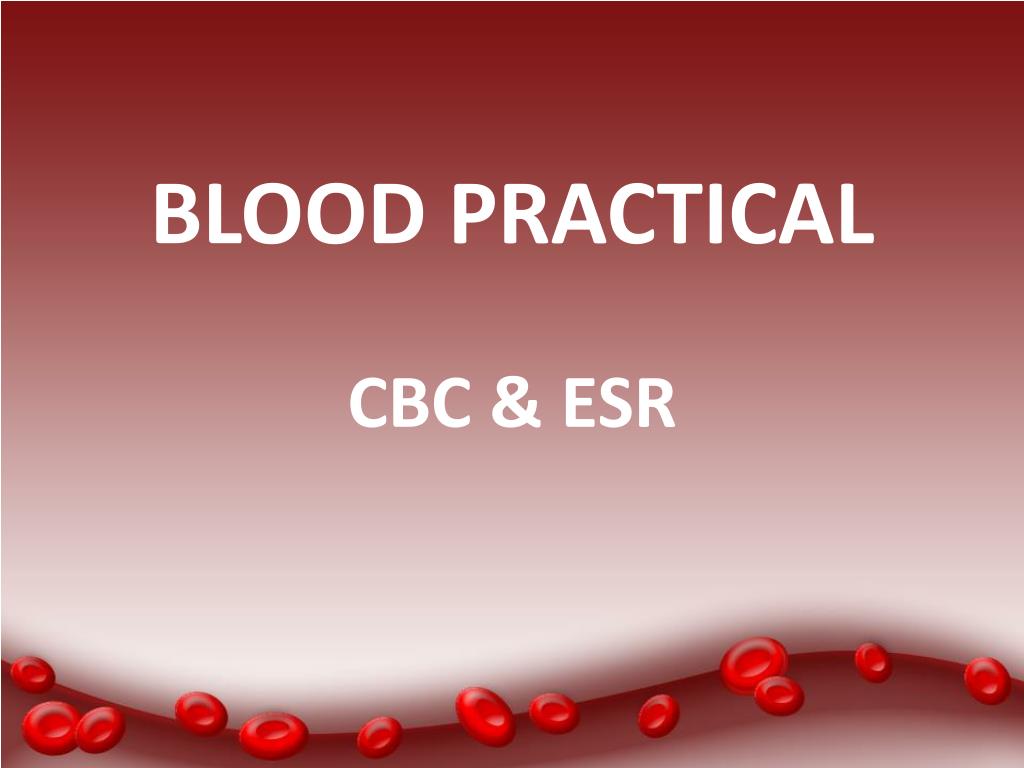 PPT - BLOOD PRACTICAL PowerPoint Presentation, free download - ID:2136495