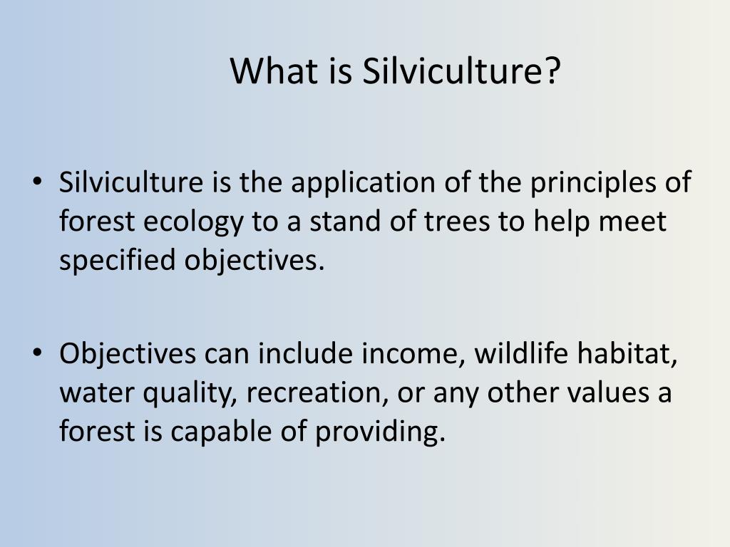 PPT - What is Silviculture? PowerPoint Presentation, free download - ID ...